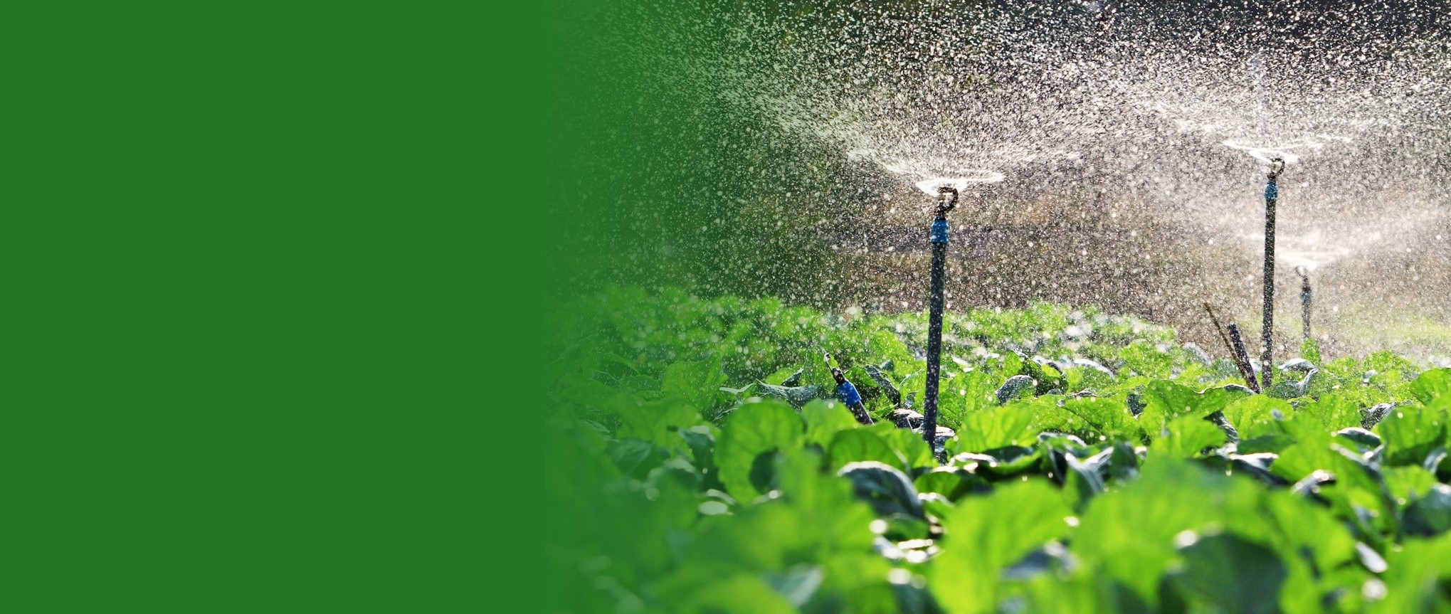 Polyethylene Irrigation Pipes: Benefits and Applications